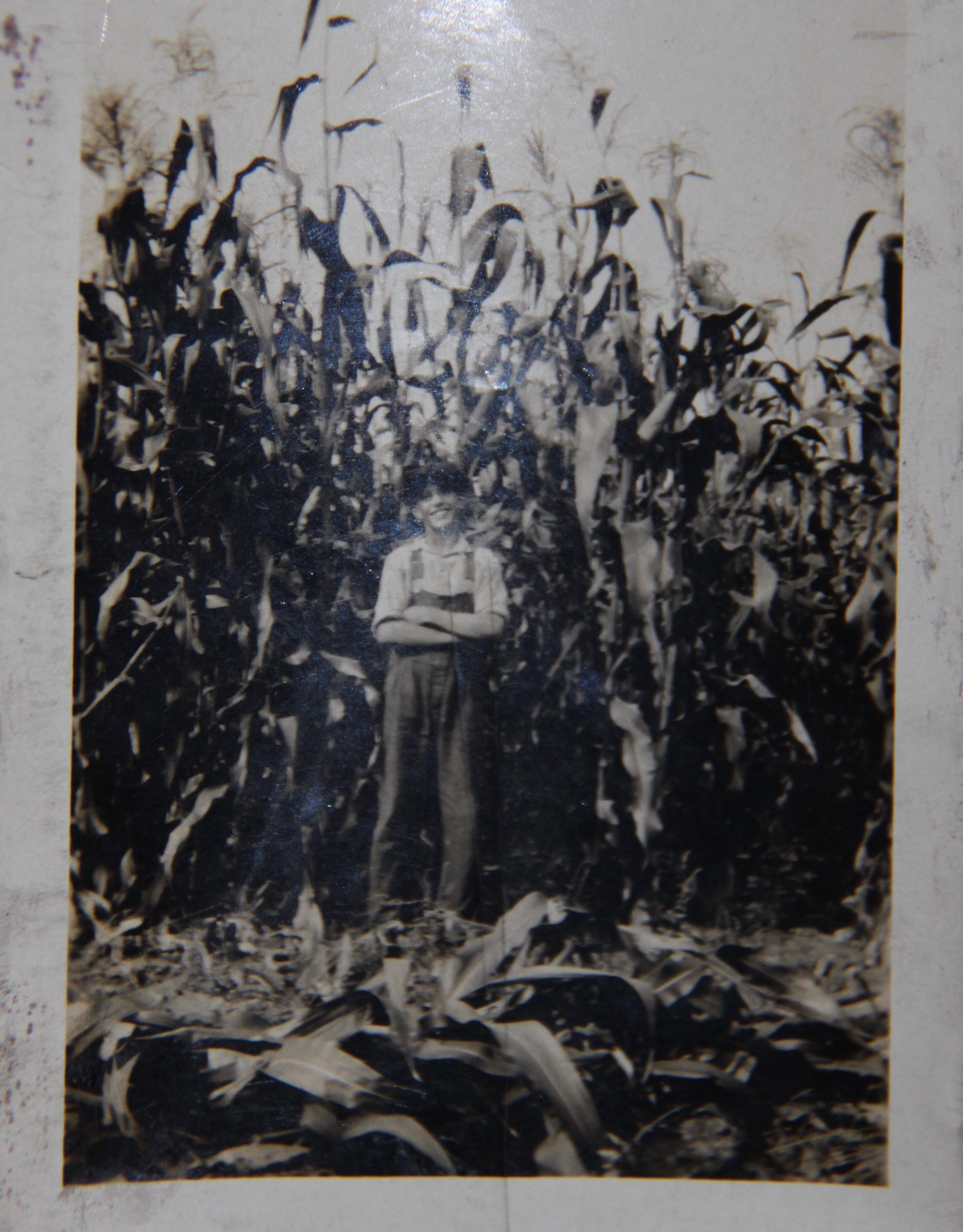 The Sacrifice of a Father | A New Lens