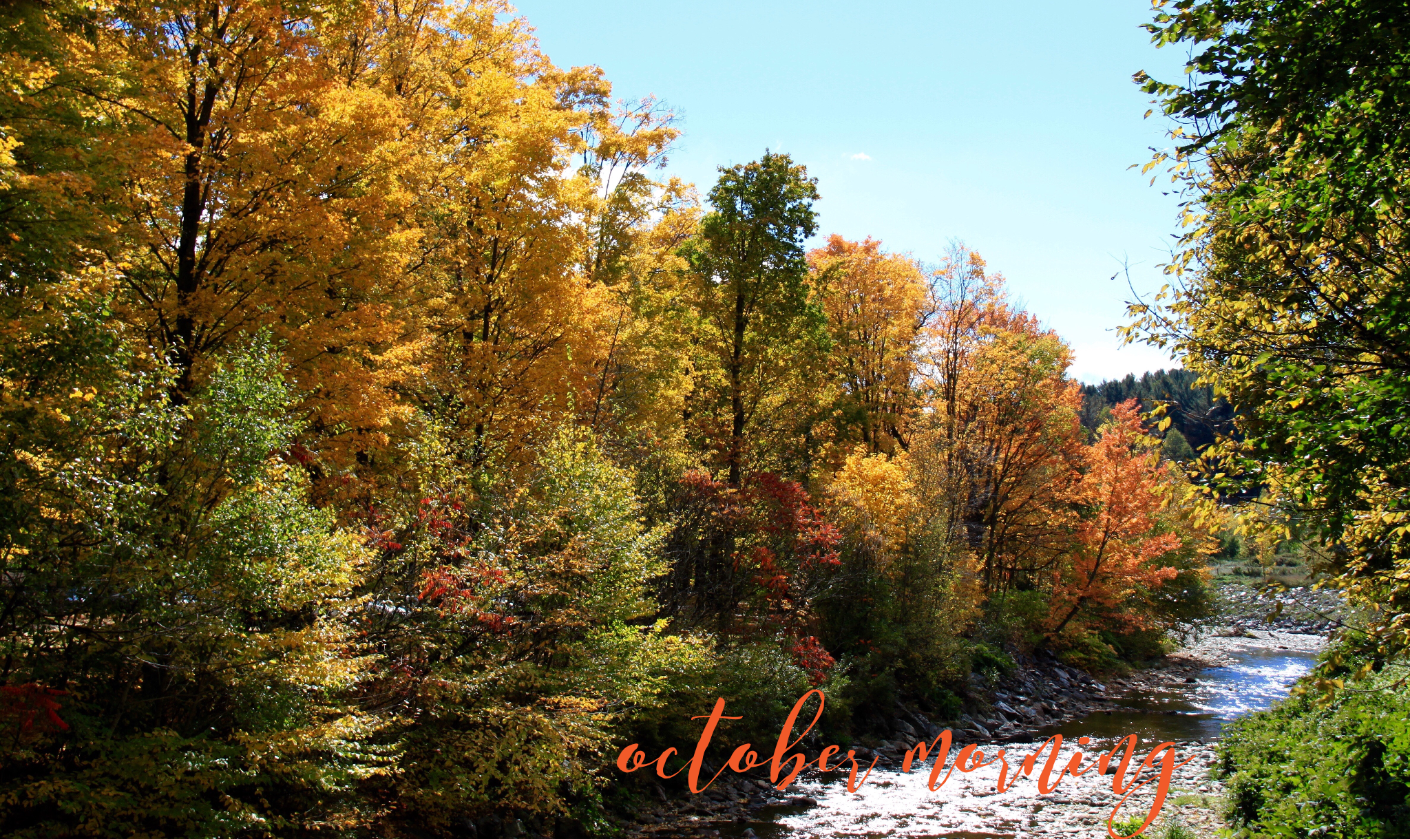 October Morning in Vermont | A New Lens