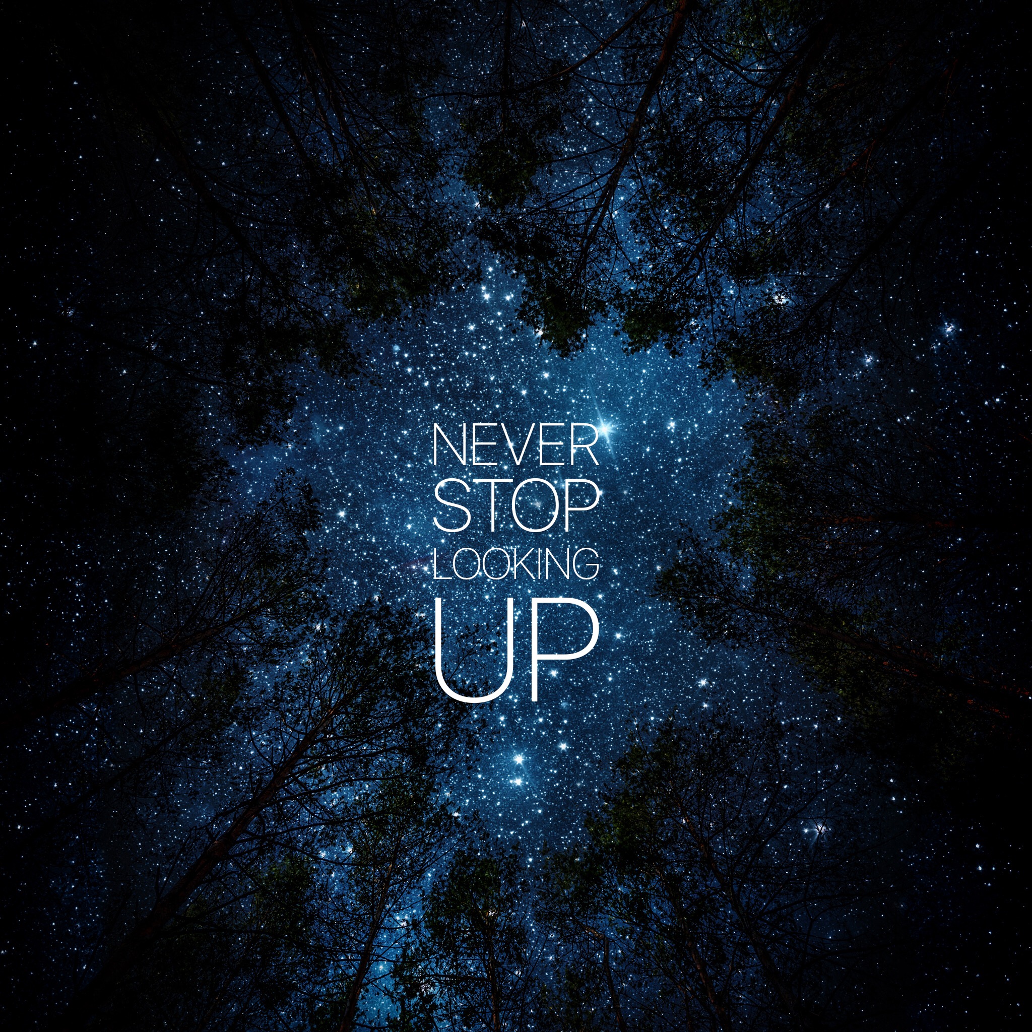 The Genius of God | A New Lens