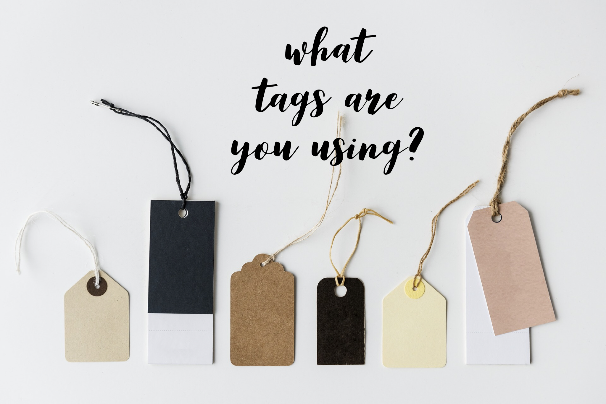 Sorting, Labeling, Categorizing | A New Lens