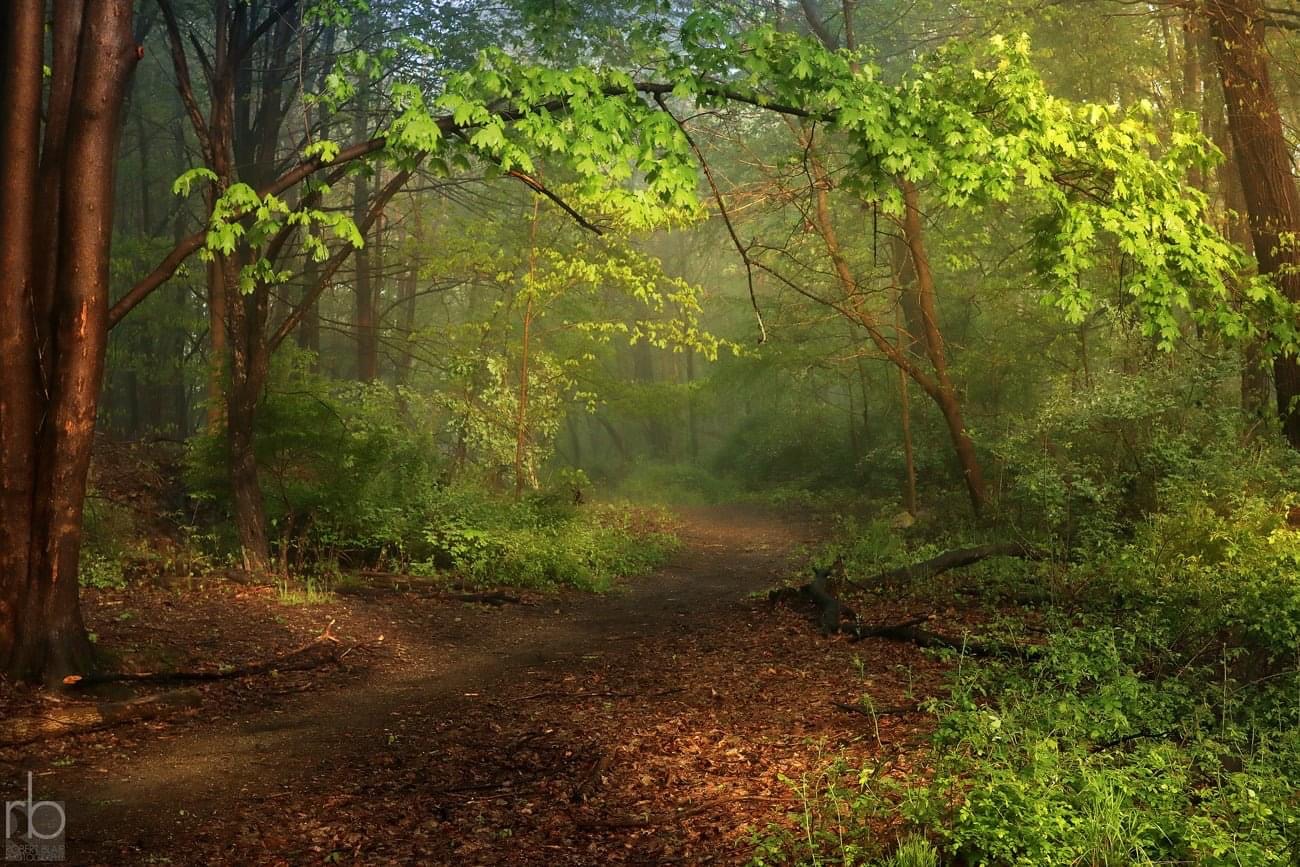 Sanctuary | A New Lens